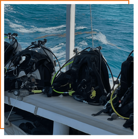 Go Diving on a Liveaboard - Sea Dragon Dive Center