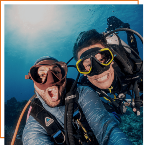 Go Diving on a Liveaboard - Sea Dragon Dive Center